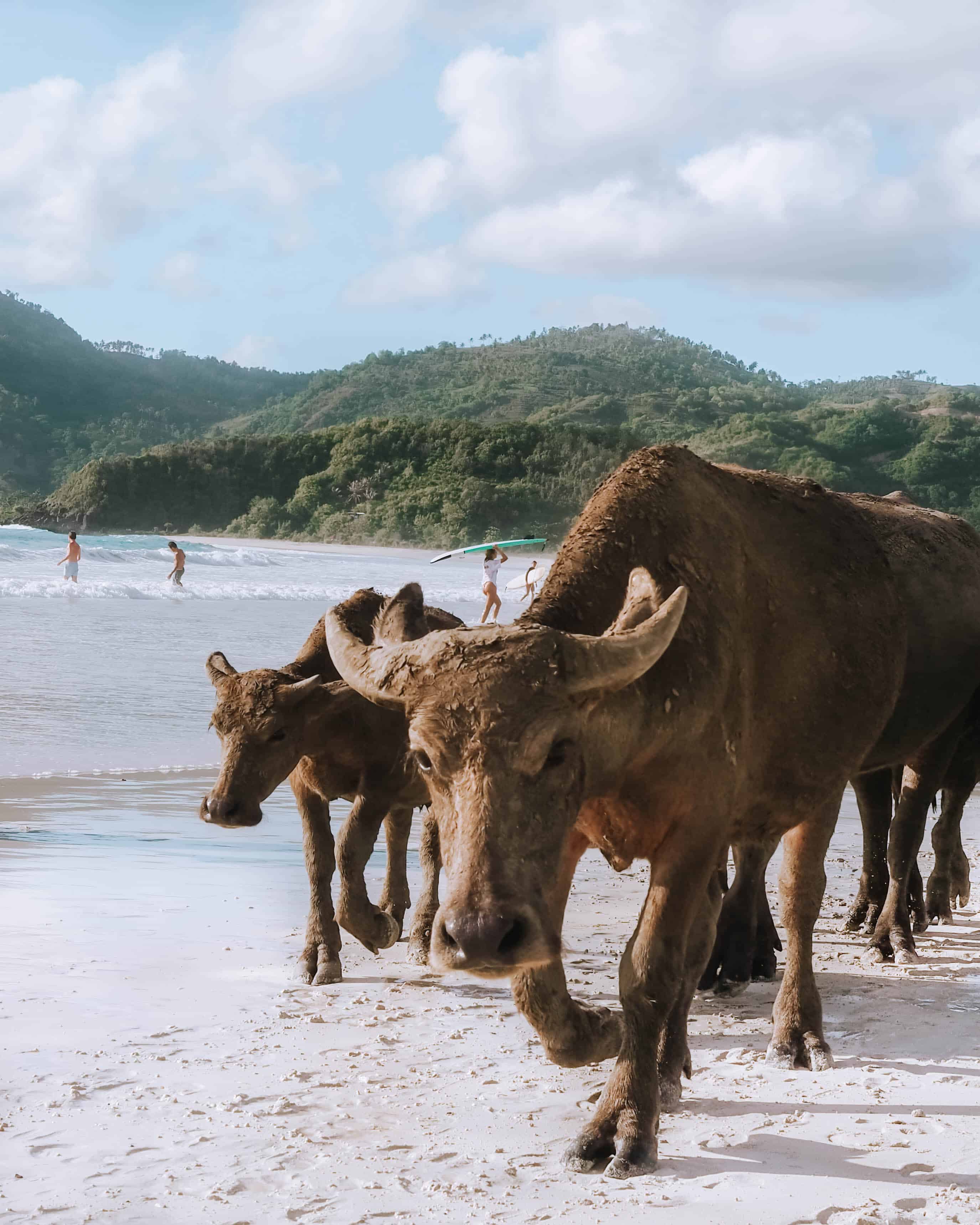 4 best beaches in southern Lombok - Sun Chasing Travelers