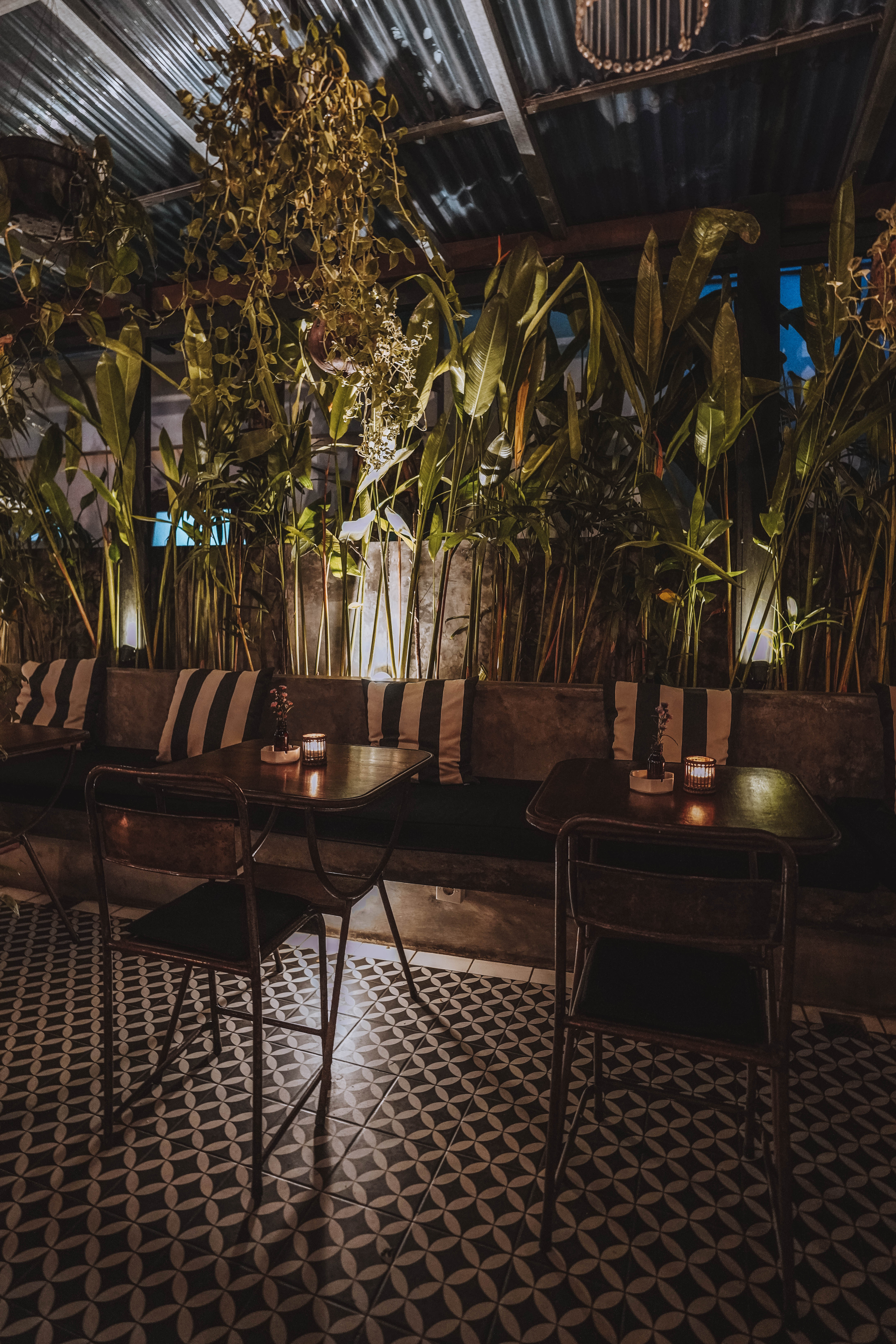 Vegan Canggu - Top 14 restaurants you have to try - Sun Chasing Travelers