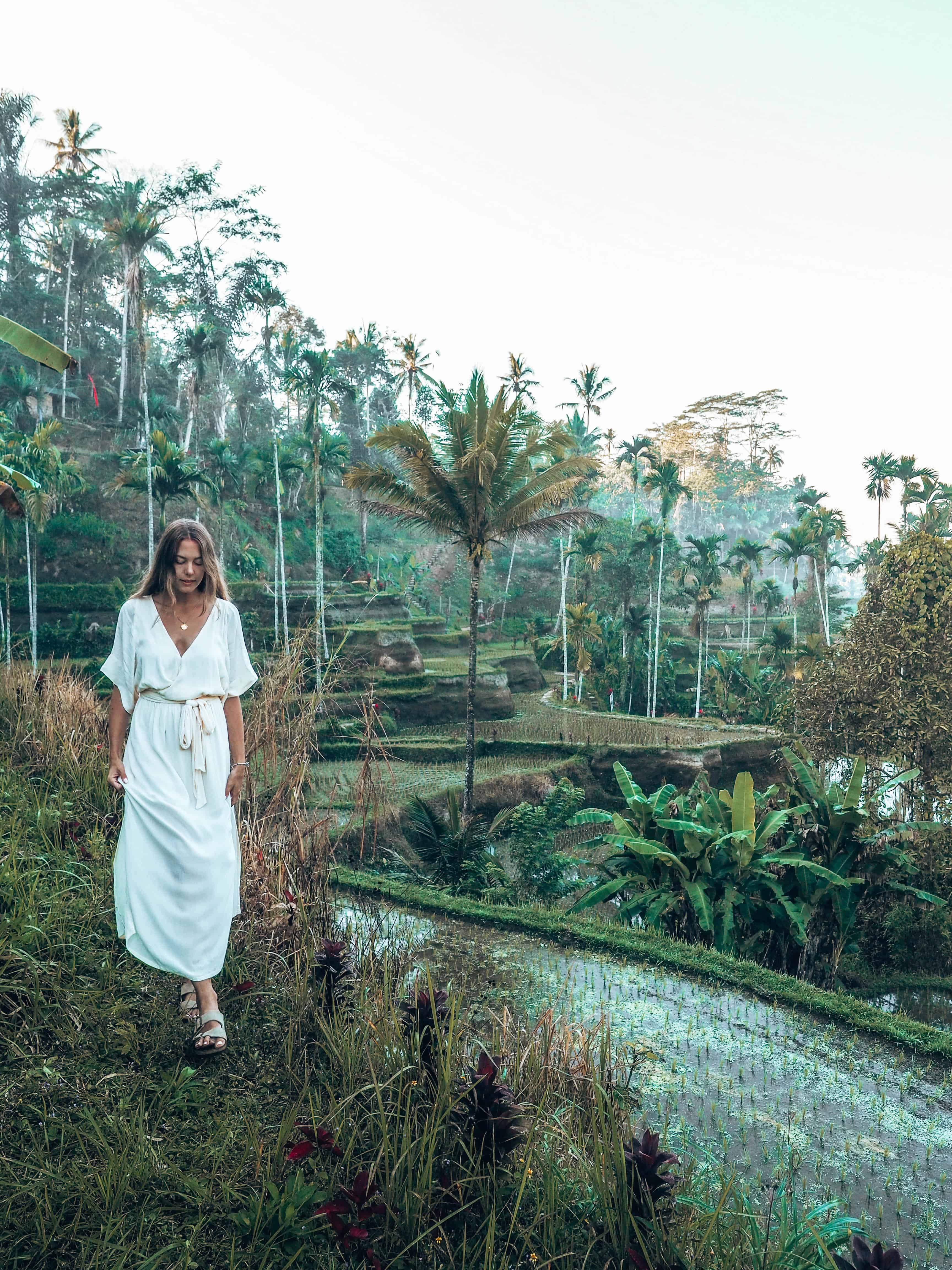 9 Best things to do in Ubud - The Ultimate Travel Guide - Sun Chasing ...