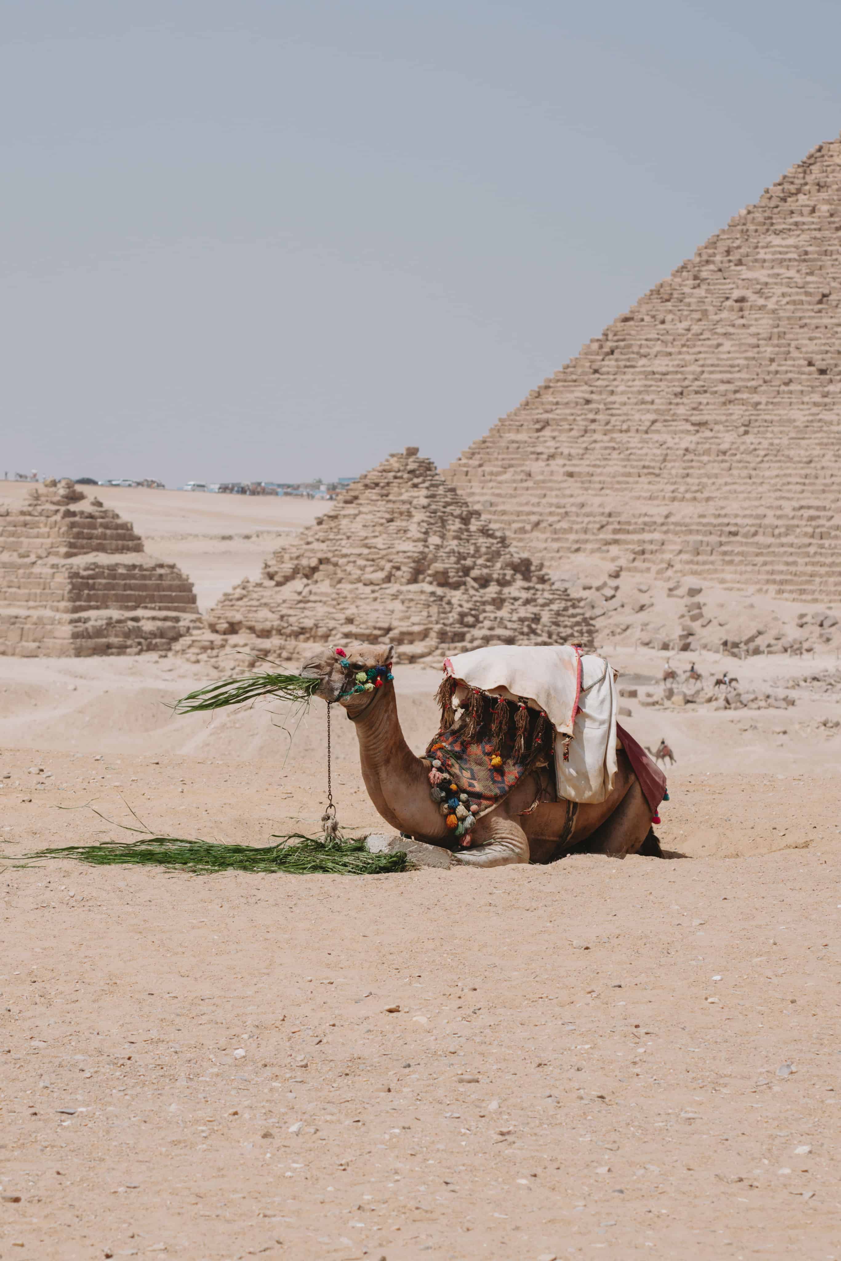 14 Days best of Egypt Itinerary - The Ultimate self-travel guide - Sun ...
