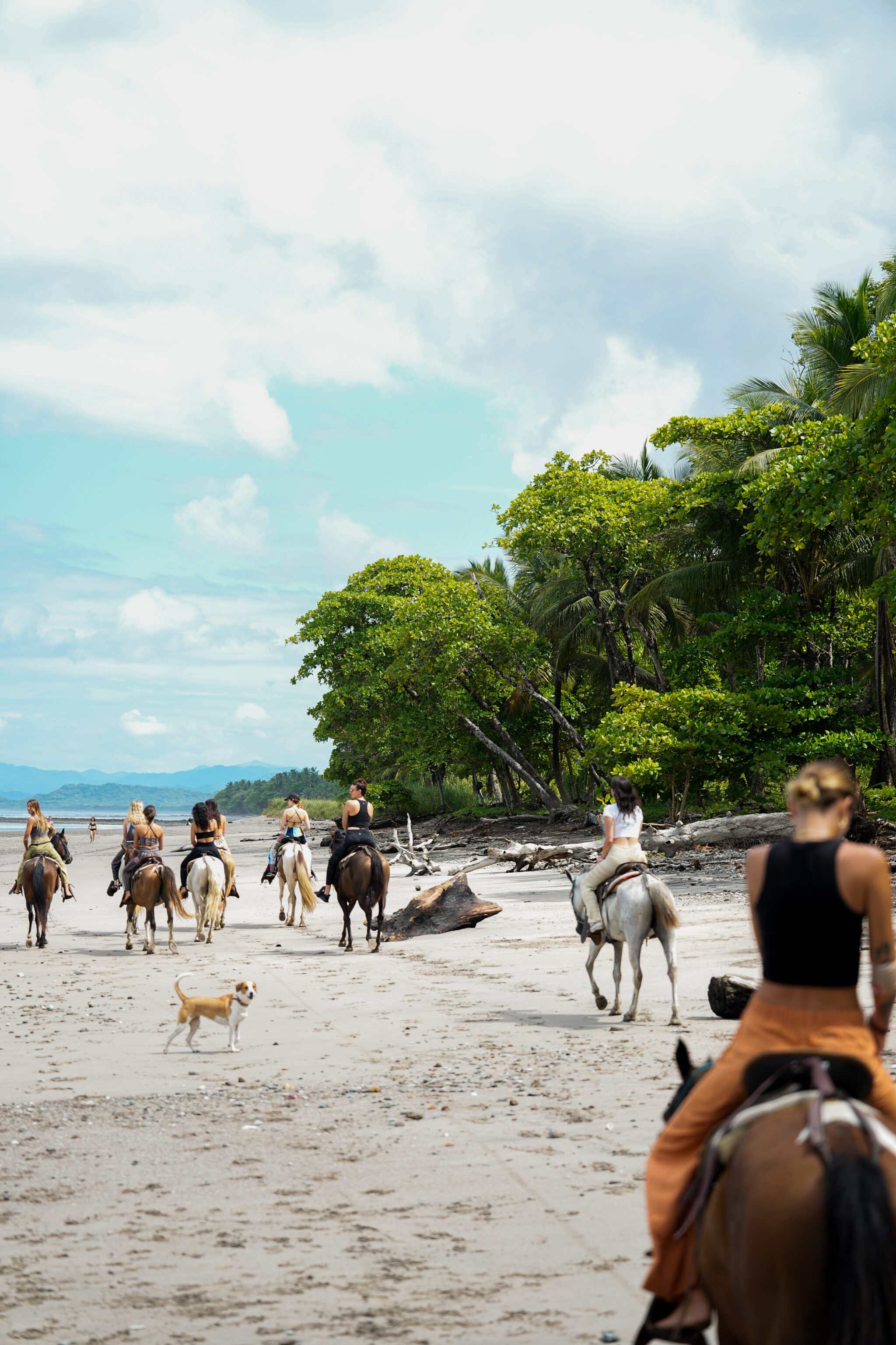 9 Best things to do in Santa Teresa - The Ultimate Guide - Sun Chasing ...